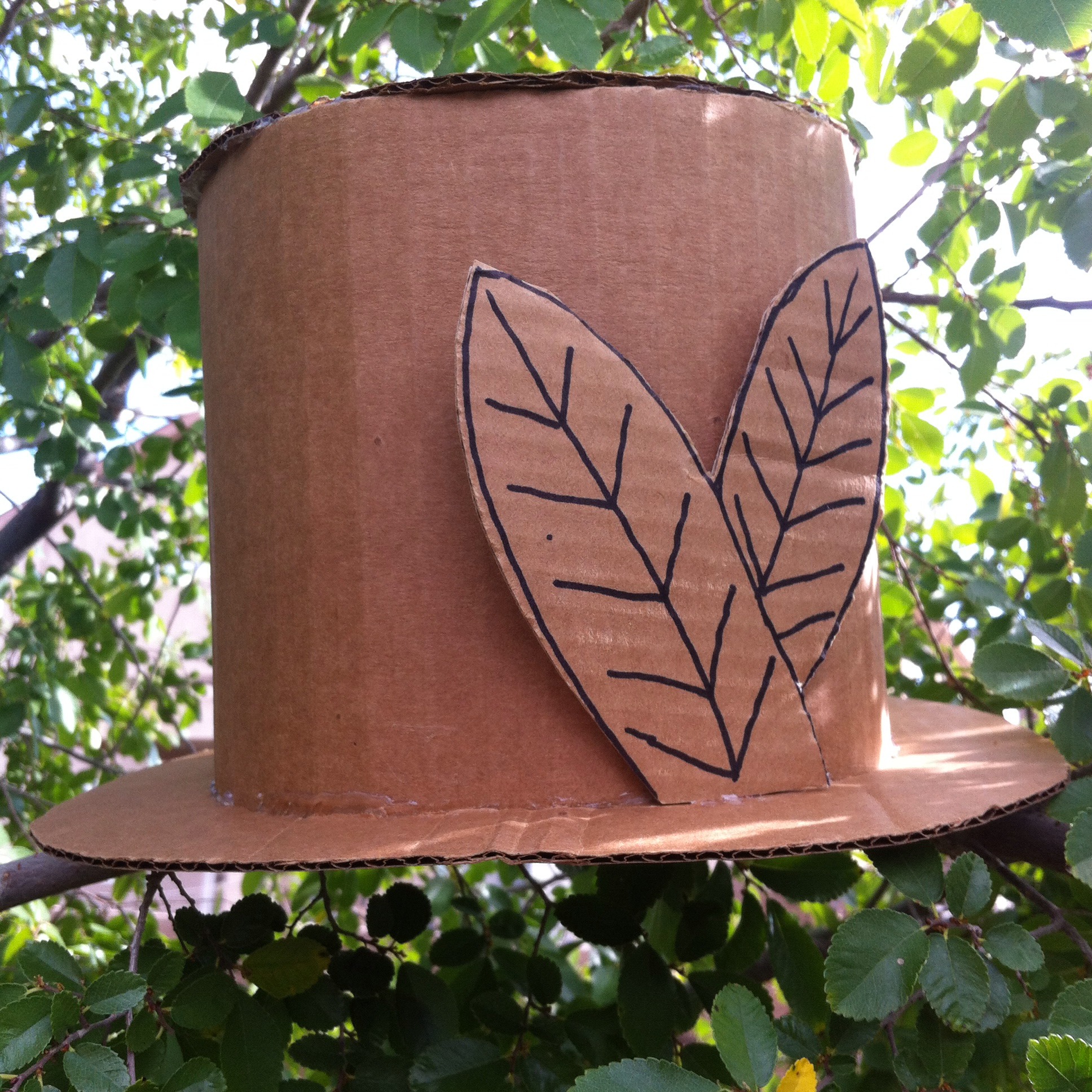 How To Make A Hat Out Of Cardboard