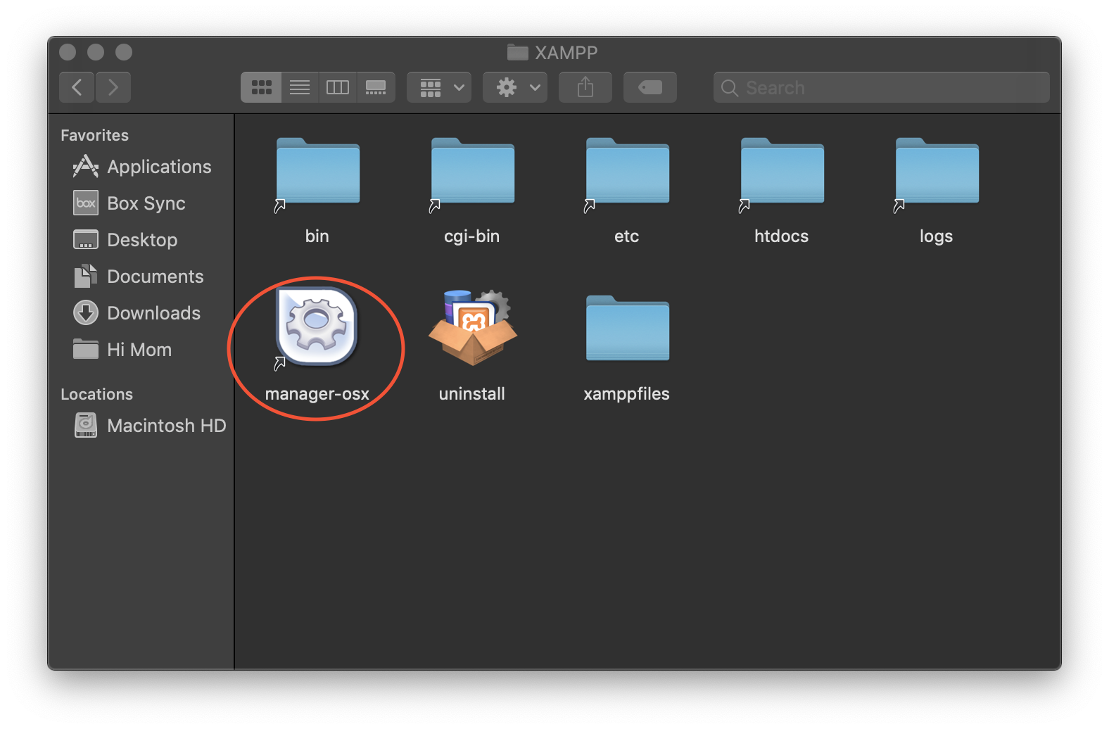 Creating a Database With XAMPP | Trybotics