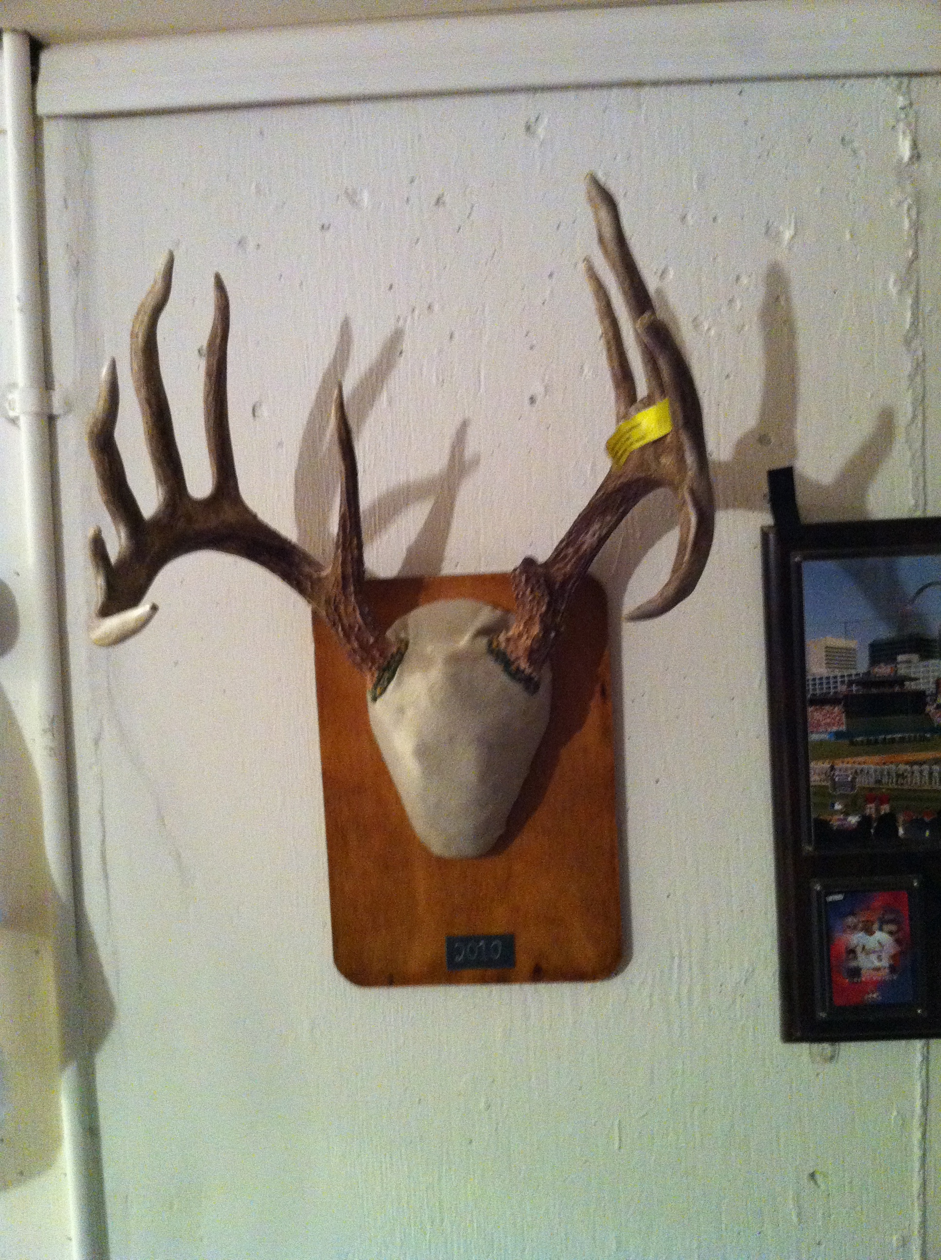  Homemade Deer Antlers Mount Instructables