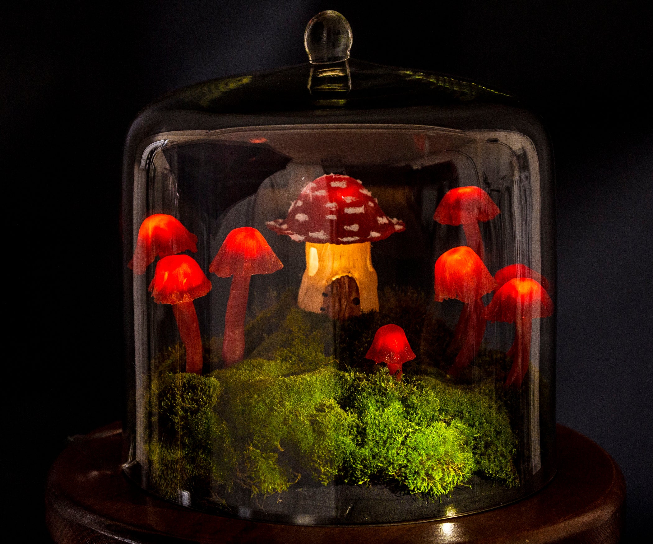 Miniature Fairy Garden Terrarium - Enchanted Mushroom Lights : 4 Steps ...