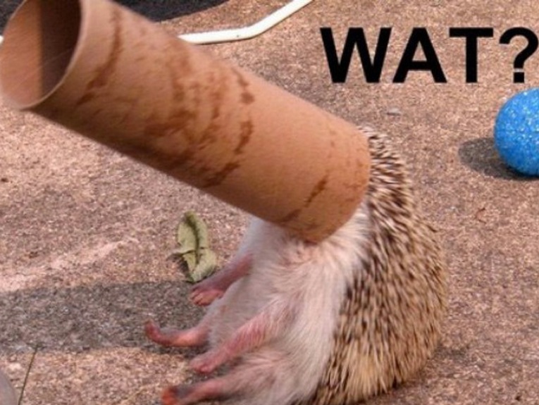 Introduction to MEL Scripting in Maya: 3D Fractals | Trybotics