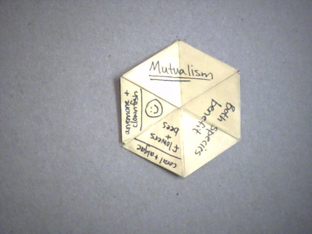 How To Make A Hexaflexagon 10 Steps with Pictures Instructables how-to-make-a-hexaflexagon-10-steps-with-pictures-instructables