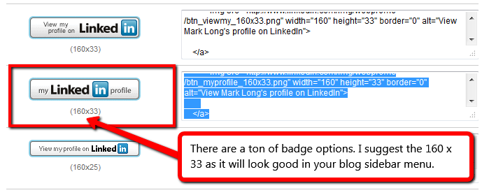Add a LinkedIn Profile Badge to Your WordPress Blog | Trybotics