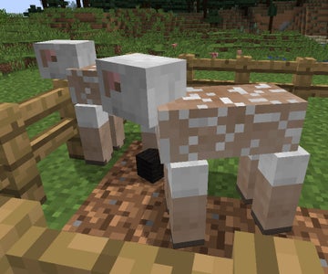 Minecraft Animals : 13 Steps (with Pictures) - Instructables