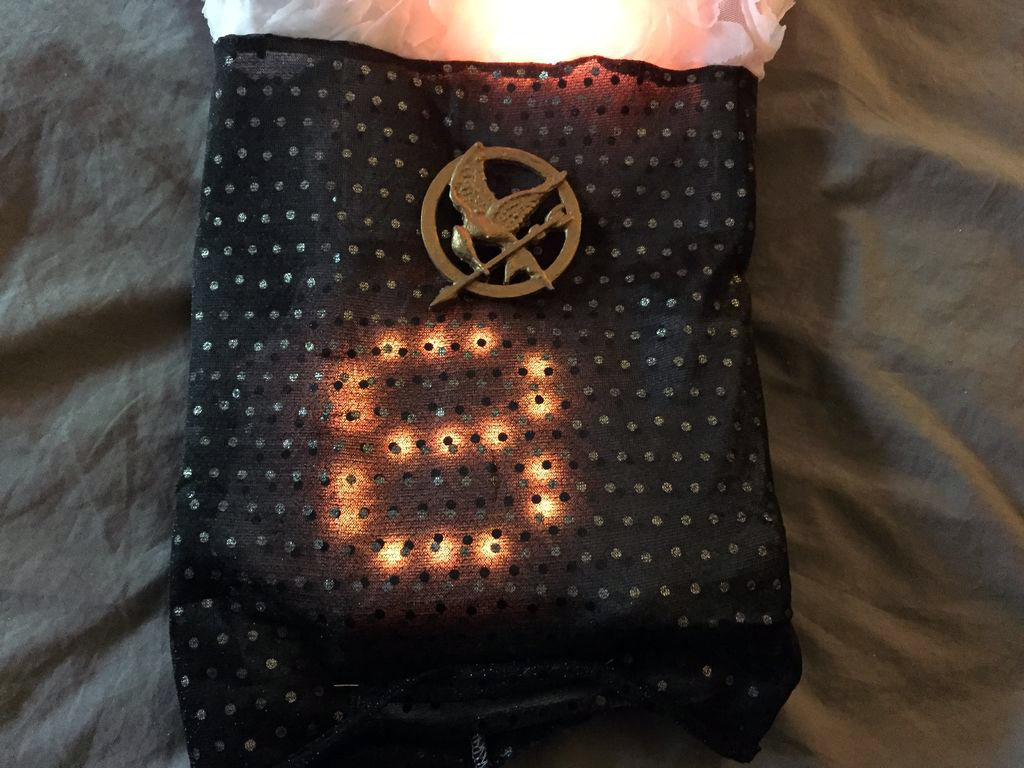 Hunger Games - Global Warming - Neopixel Fire Thermometer Scarf | Trybotics