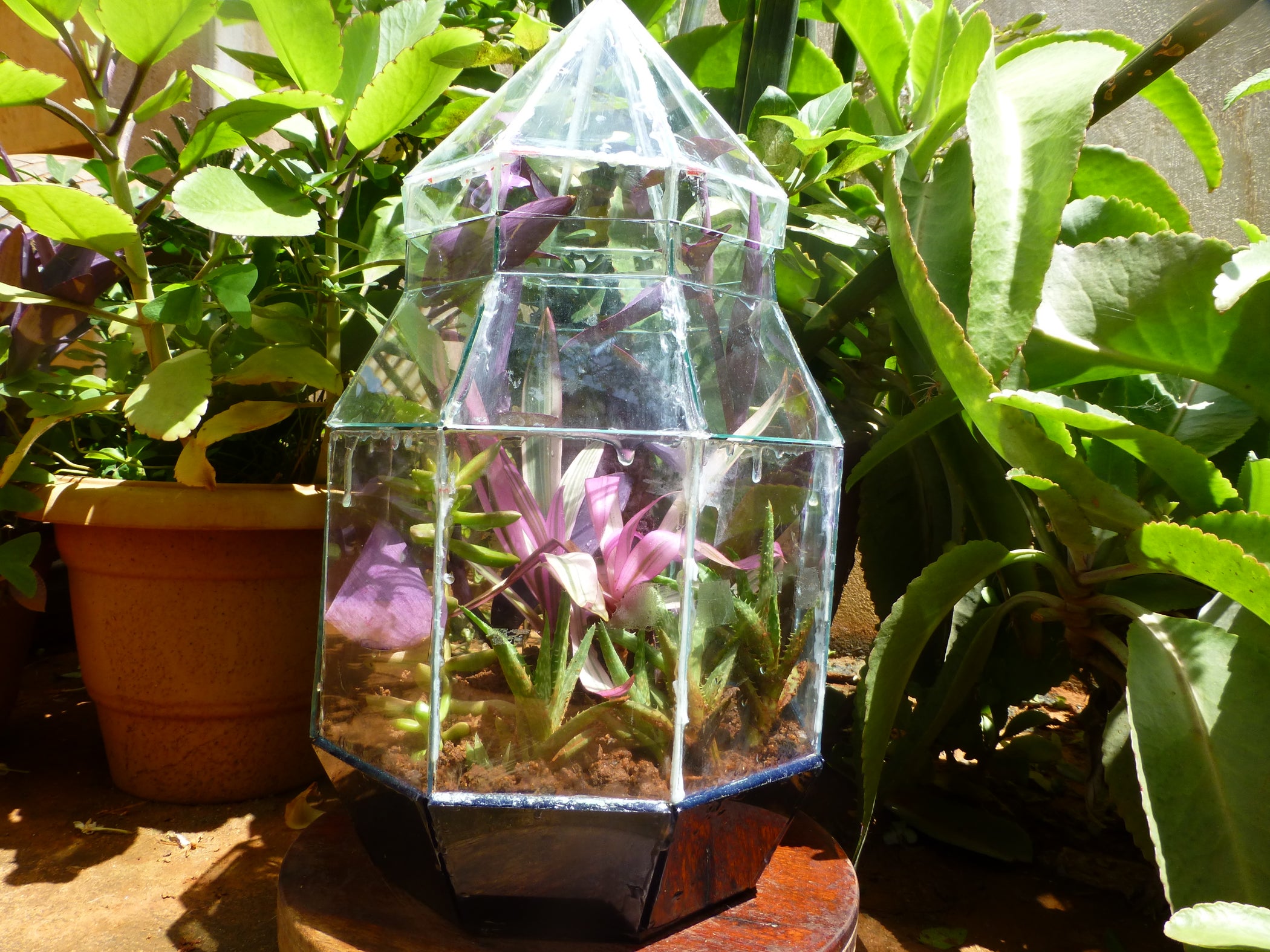 Stained Glass Terrarium: a Weekend Project : 13 Steps (with Pictures ...