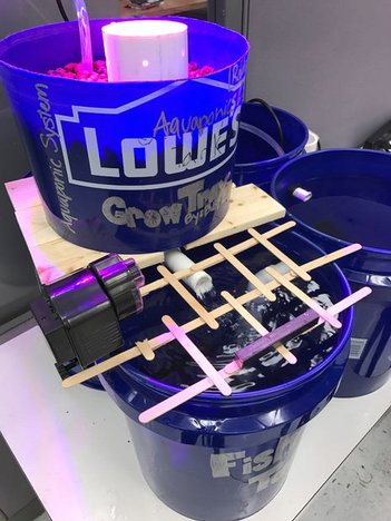 20-Gallon Aquaponics System With Arduino Monitoring | Trybotics